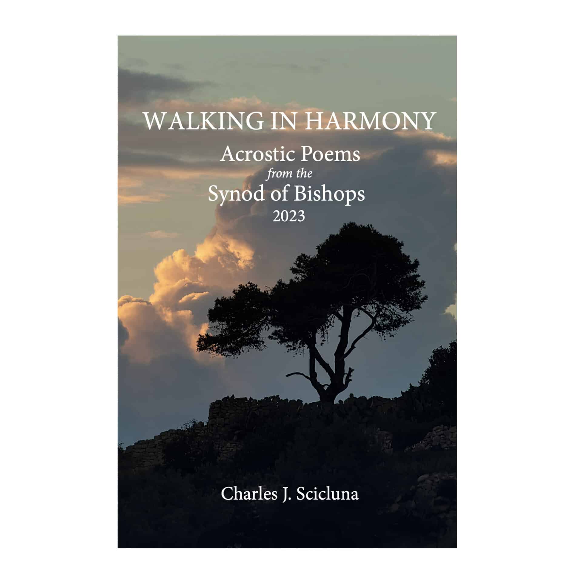 WALKING IN HARMONY Acrostic Poems from the Synod of Bishops 2023 - Kite ...